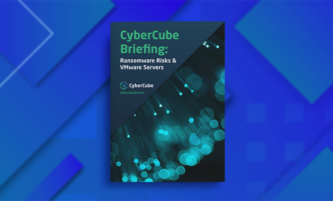 Ransomware Risks And Vmware Servers Report 1531